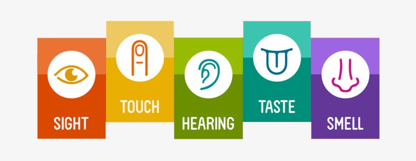 Shapes, Letters And Words By Using The Five Senses - Smell Taste Touch ...