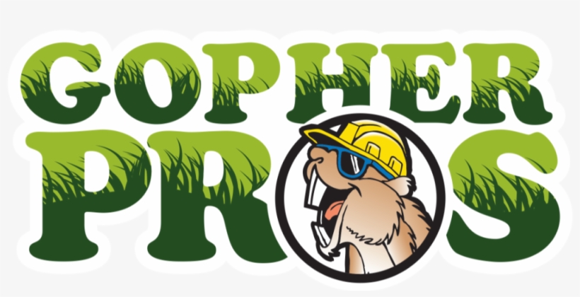 Gopher Pros - 1100x468 PNG Download - PNGkit