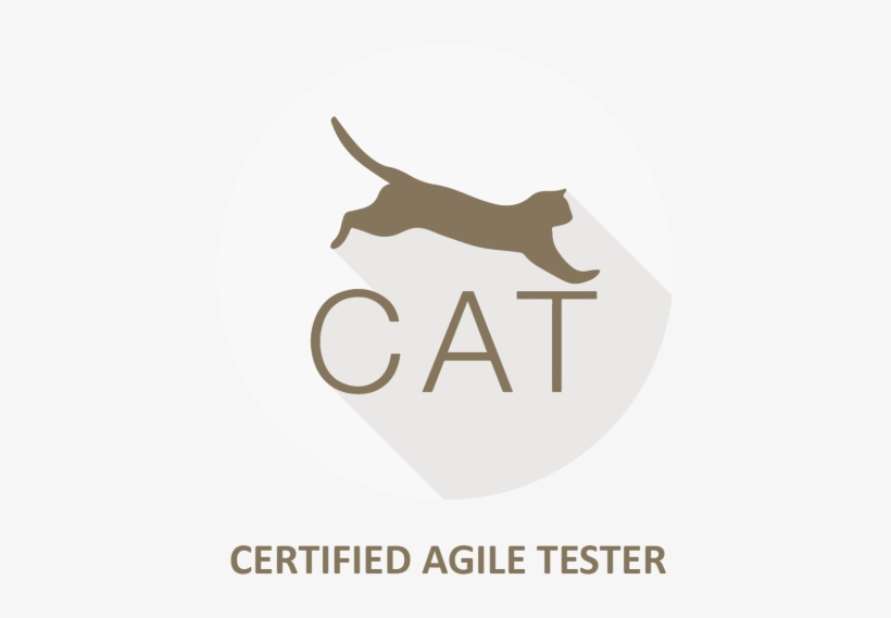 Certified Agile Tester - Agile Testing - 600x600 PNG Download - PNGkit