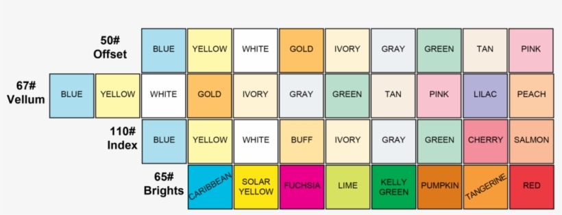 Color Options - Number - 1024x343 PNG Download - PNGkit