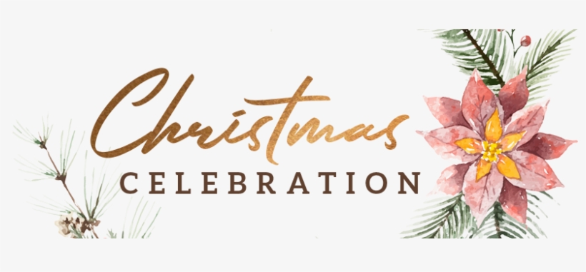 Christmas Celebration - Calligraphy - 1180x300 PNG Download - PNGkit