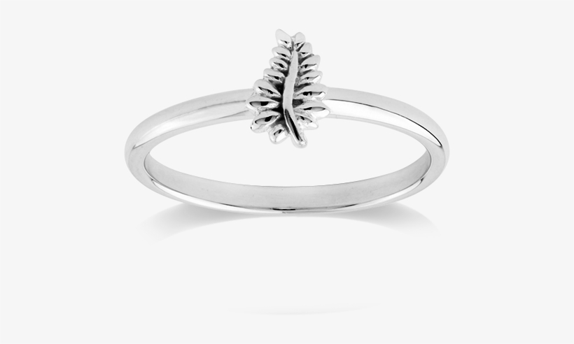 Nz Fern Ring - Ring - 1024x1024 PNG Download - PNGkit
