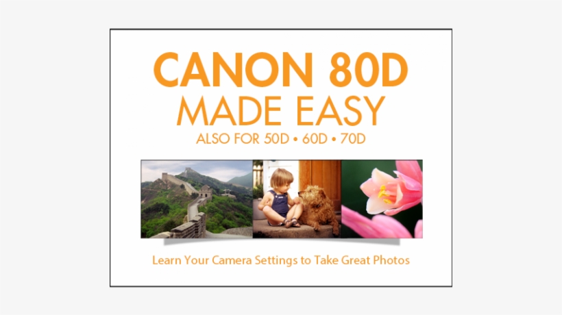 Download Transparent Flyer - PNGkit