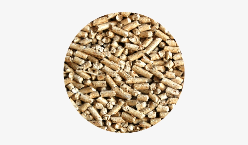 Pellets - Biomass Pelletization: Standards And Production [book ...