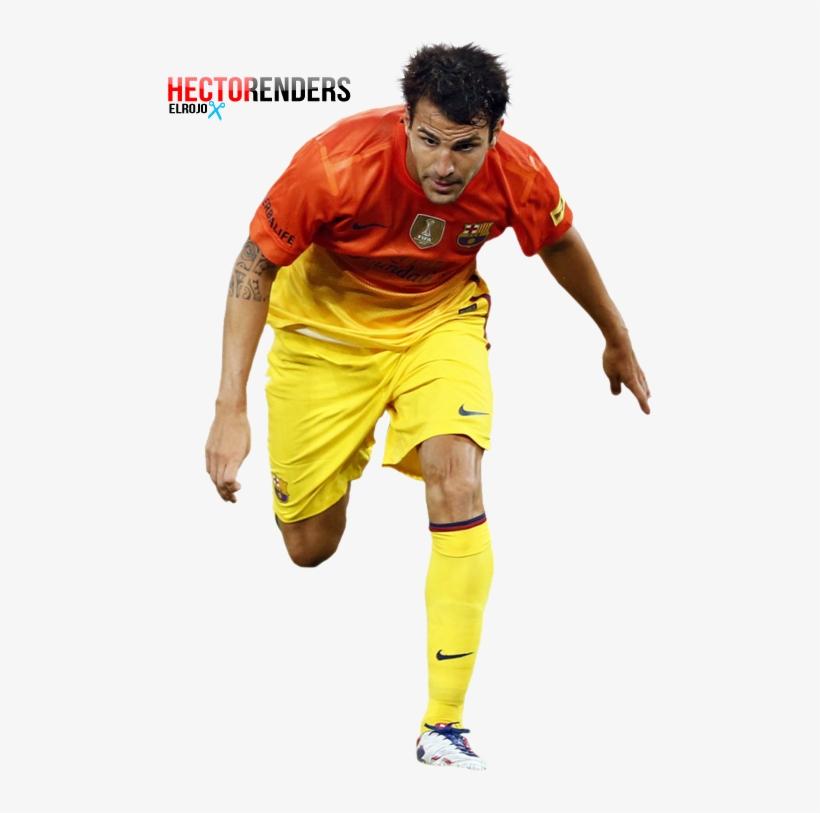 Cesc Fàbregas - 518x732 PNG Download - PNGkit