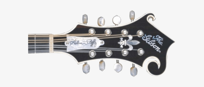 Mandolin Head Stock - Headstock Mandolin Png - 623x400 PNG Download ...