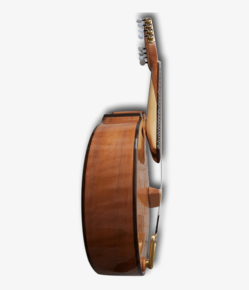 Richard Morgan Lead Mandolin - Mandolin - 650x900 PNG Download - PNGkit