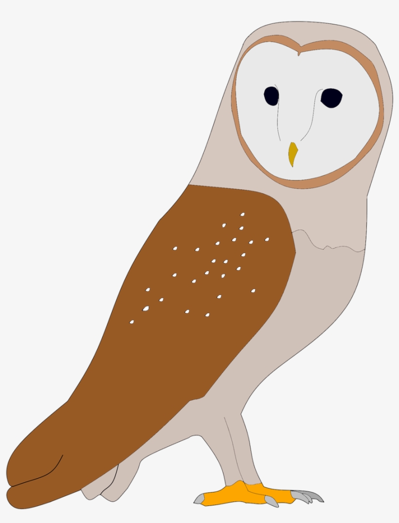 Cheb On Twitter - Screech Owl - 960x1200 PNG Download - PNGkit