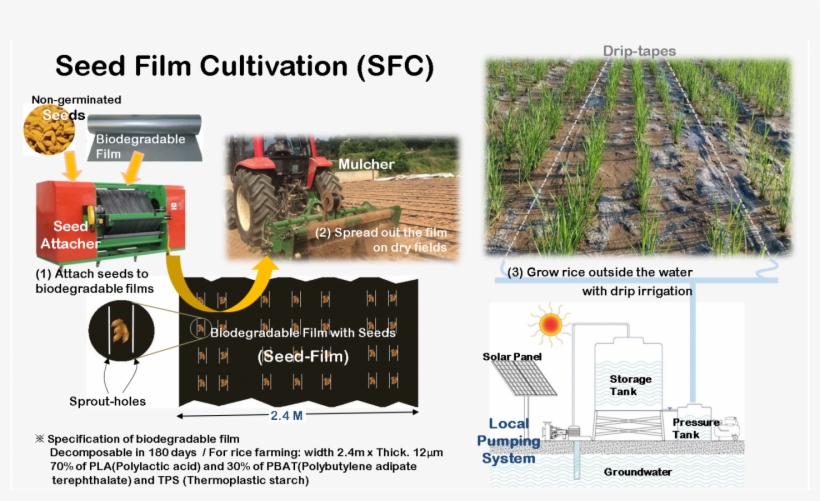 11445 %ea%b7%b8%eb%a6%bc61 - Portable Network Graphics - 1440x810 PNG ...