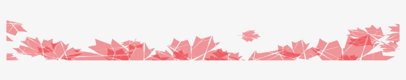 Bottom-overlay - Bottom Border Image Png - 1020x210 PNG Download - PNGkit