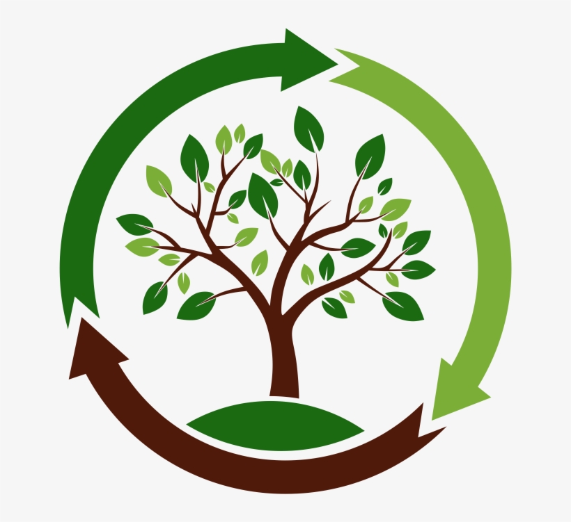 Proper Waste Disposal Background - 650x671 PNG Download - PNGkit