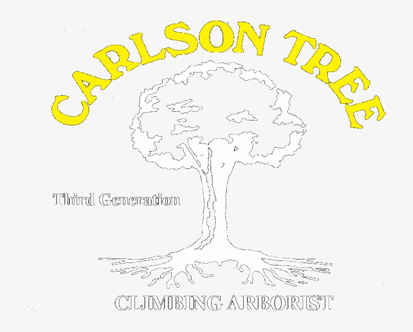 Residential Tree Trimming & Removal Service - Carlson Tree Service ...