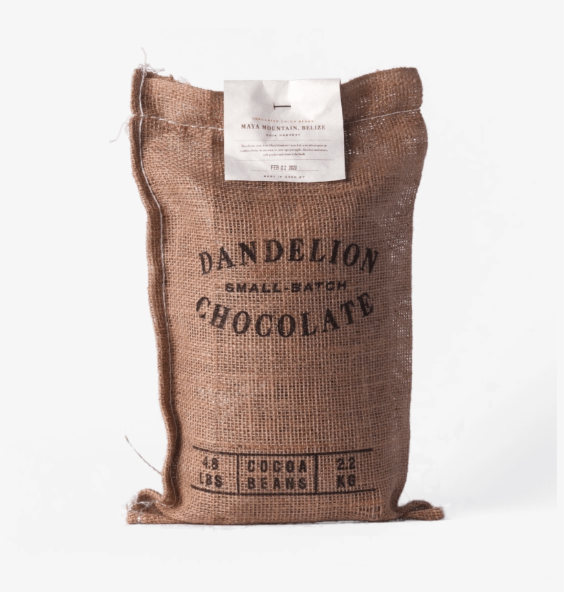 Unroasted Cocoa Beans, Maya Mountain, Belize - Woolen - 2048x2048 PNG ...