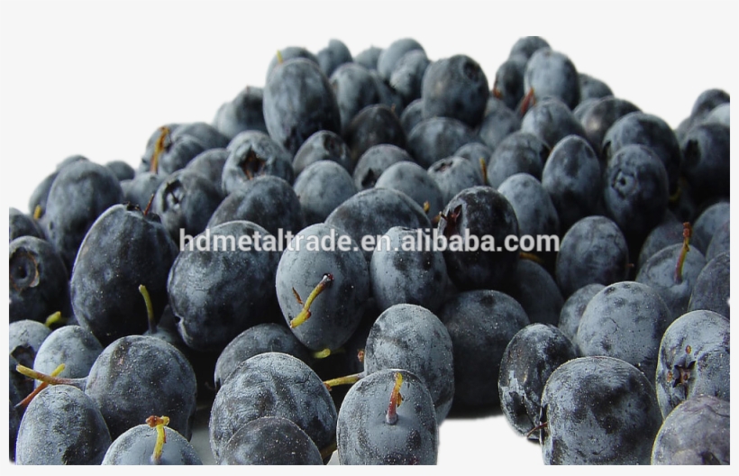 Skin Whitening Acai Berry Extract, Skin Whitening Acai - Acai Berry ...