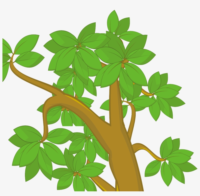 Cartoon Tree - 971x903 PNG Download - PNGkit