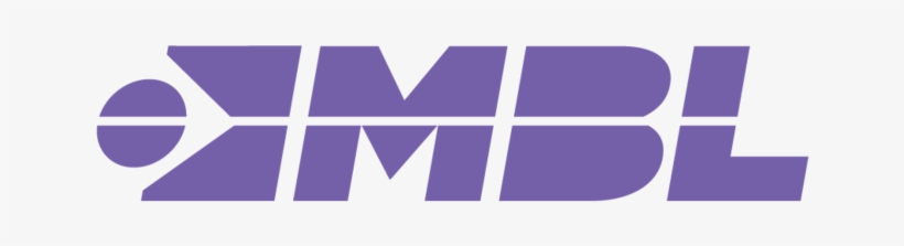Mbl 2016 - Mbl Png - 800x347 PNG Download - PNGkit