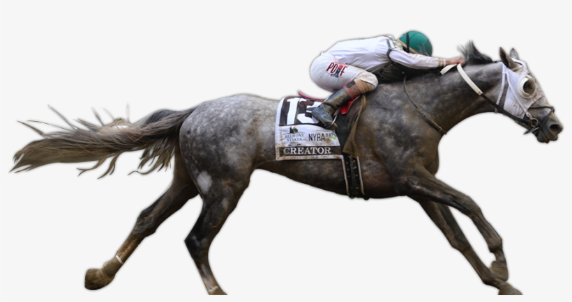 Creator Wins The G1 Belmont Stakes - Horse Racing Cut Out - 900x550 PNG ...