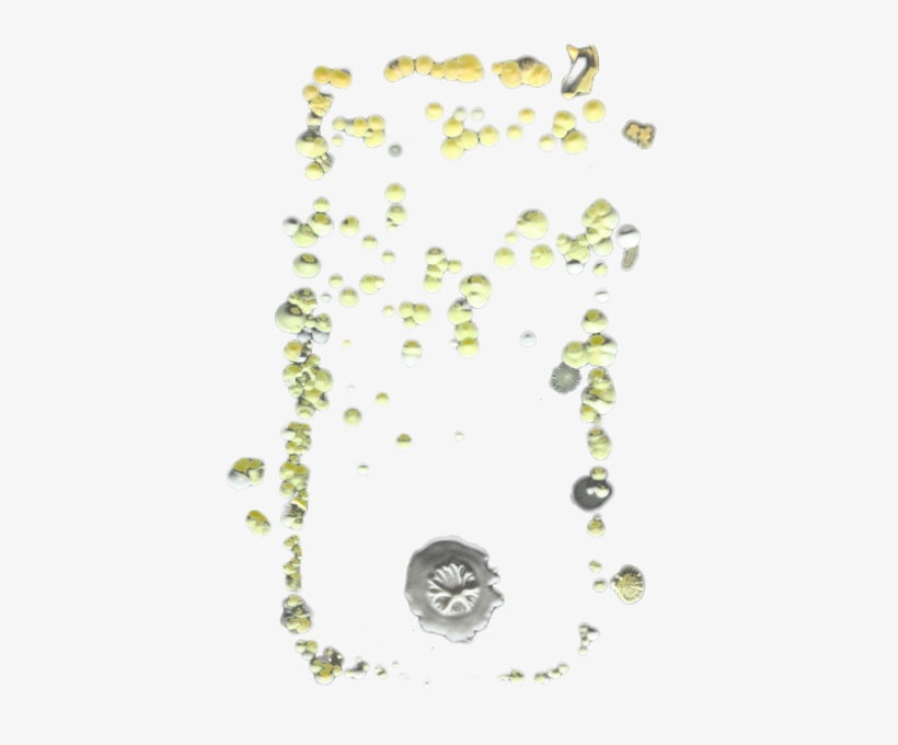 Whoosh Készülékfertőtlenítő Termékek - Chain - 425x600 PNG Download ...