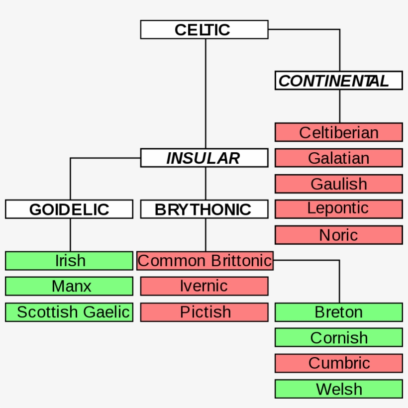 Celtic Language Family Tree - 1076x1024 PNG Download - PNGkit