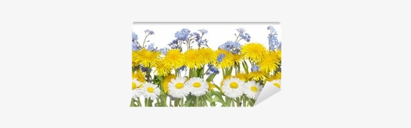 Stock Photography - 400x400 PNG Download - PNGkit