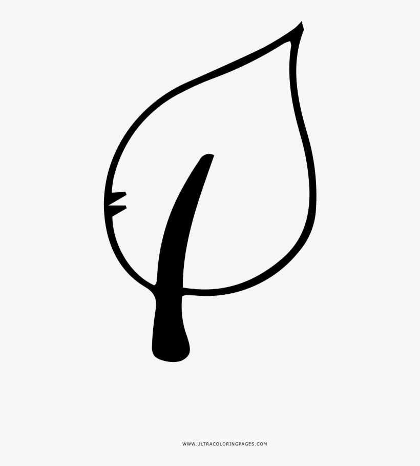 Dibujo De Verduras De Hoja Verde Para Colorear - Hoja Verde Para ...