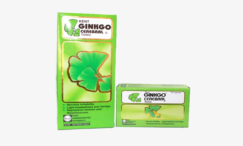 Ginkgo Biloba Syrup In Pakistan - 500x425 PNG Download - PNGkit