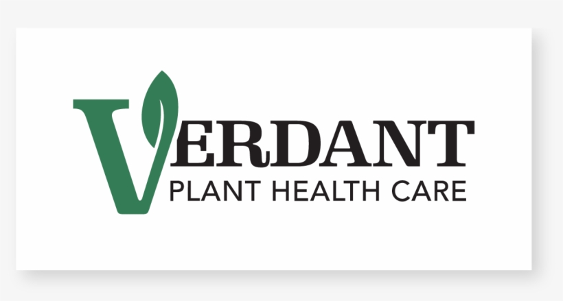 Health - 1244x606 PNG Download - PNGkit