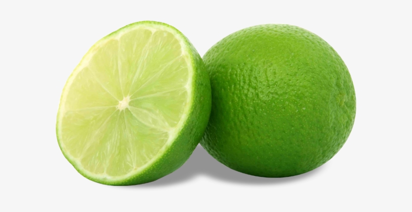 Descripción - Pati Lebu - 800x600 PNG Download - PNGkit