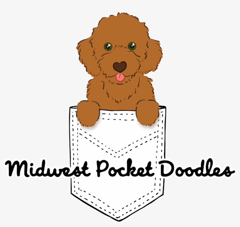 Midwest Pocket Doodles Format=1500w - 1000x1000 PNG Download - PNGkit