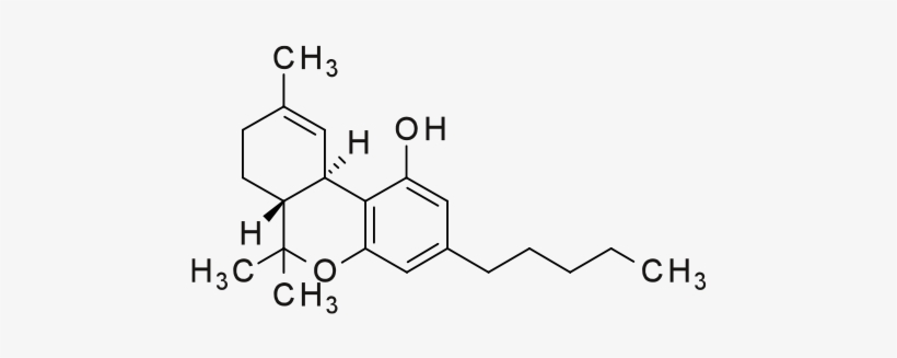 This Image Rendered As Png In Other Widths - Thc Chemical Structure ...