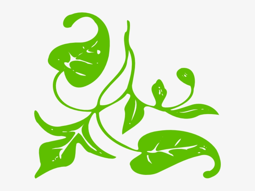 How To Set Use Moldura Folhas Single Leaf Icon Png - Folhas Png ...