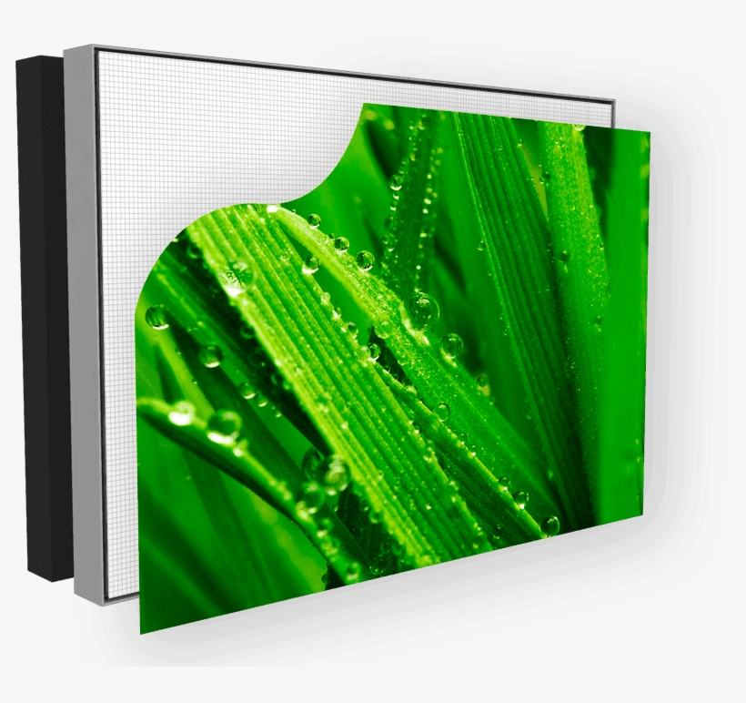 Single Sided - Graphic Design - 1280x720 PNG Download - PNGkit