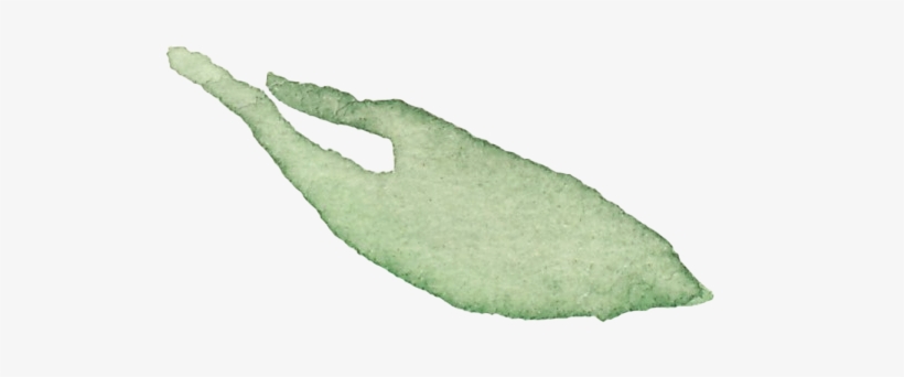 Download Transparent Single Leaf-2 - Leaf - PNGkit