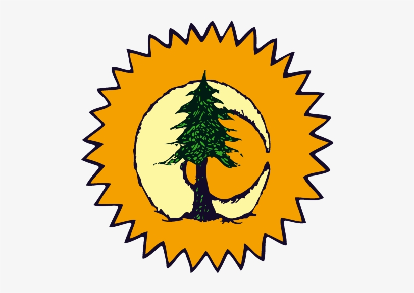 Sun Moon - Pine Tree Tattoo - 500x501 PNG Download - PNGkit