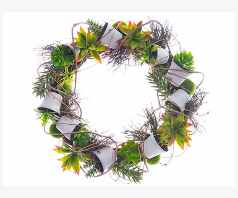 20" Succulent Garden Wreath Green - Wreaths & Garlands - 800x800 PNG ...