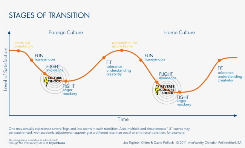 Stages Of Transition Lightbkgrd - Graph Of Student Transition ...