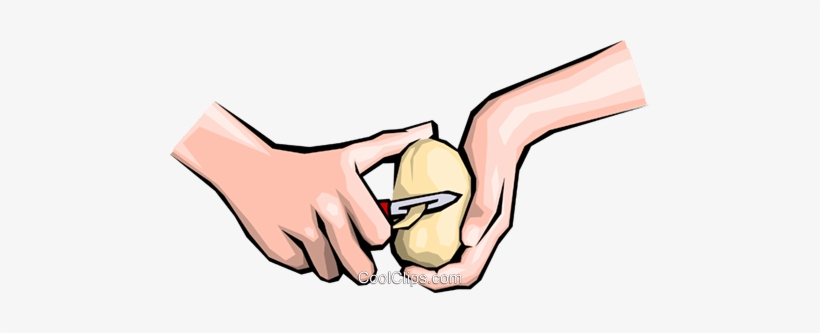 Hands Peeling Potatoes Royalty Free Vector Clip Art - Éplucher Une ...