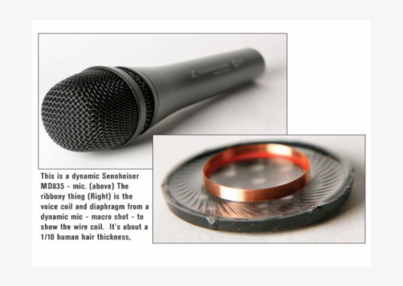 Dynamic - Microphone Size - 1000x500 PNG Download - PNGkit