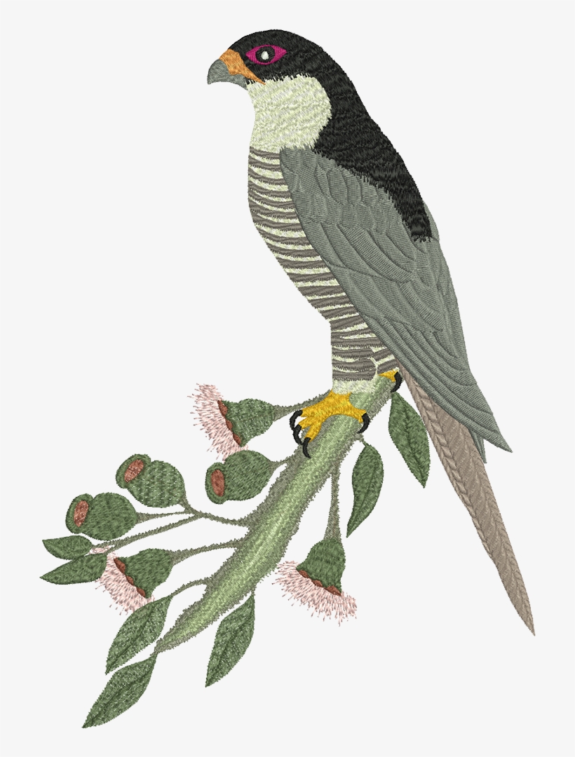 Machine Embroidery Design - Falcon - 1000x1000 PNG Download - PNGkit