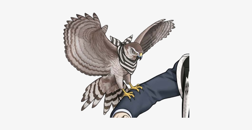 Gin - Simon Blackquill Taka - 425x358 PNG Download - PNGkit