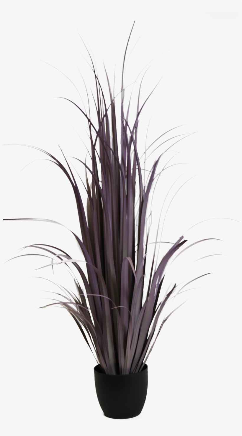 P1524f-5pu - 2912x5184 PNG Download - PNGkit