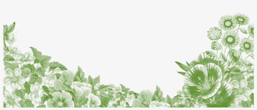 Floral Verde Png - Floral Frame Png Transparent - 960x678 PNG Download ...