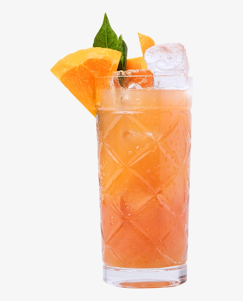 Tanqueray - 493x1078 PNG Download - PNGkit