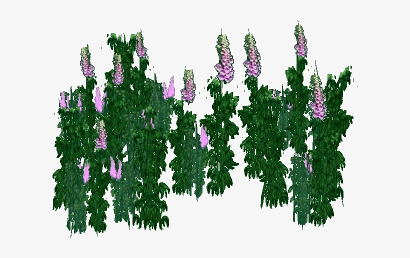 Foxglove - Wiki - 611x611 PNG Download - PNGkit