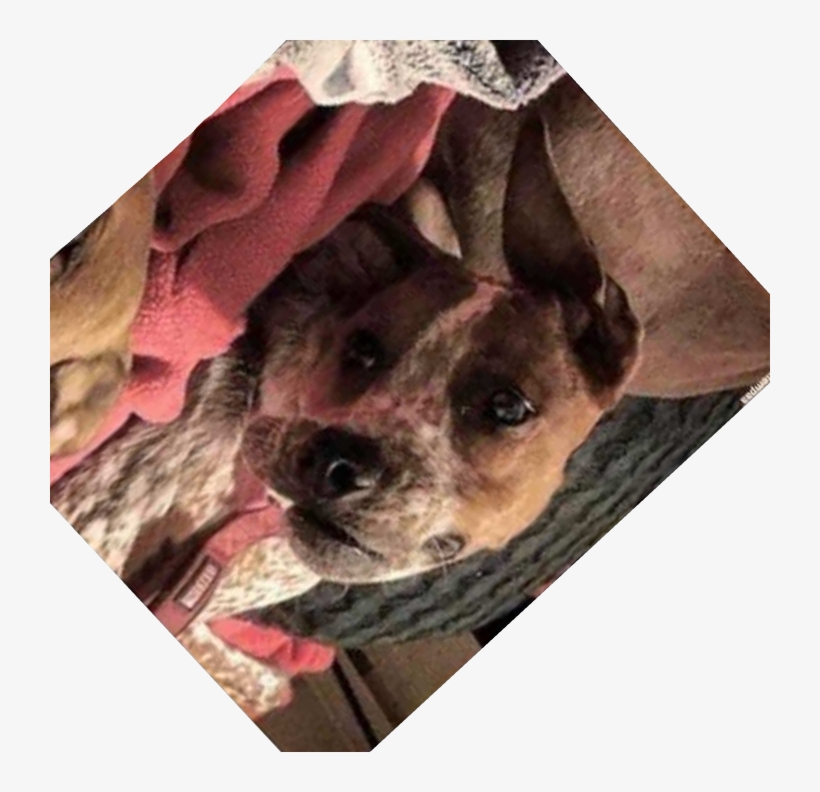 Check Out The Earlier Comment By Tetragrade Replying - Meme - 720x712 ...