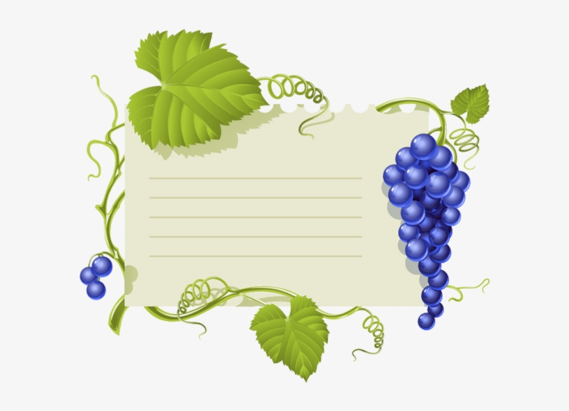 Download Transparent Canning Labels, Borders And Frames, Bulletin ...