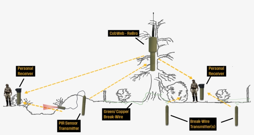 Download Transparent Cobweb Mt - Diagram - PNGkit
