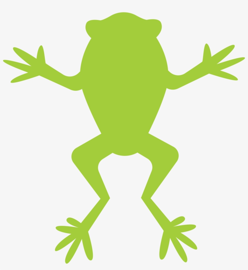 Green Tree Frog Vector - 1511x1571 PNG Download - PNGkit