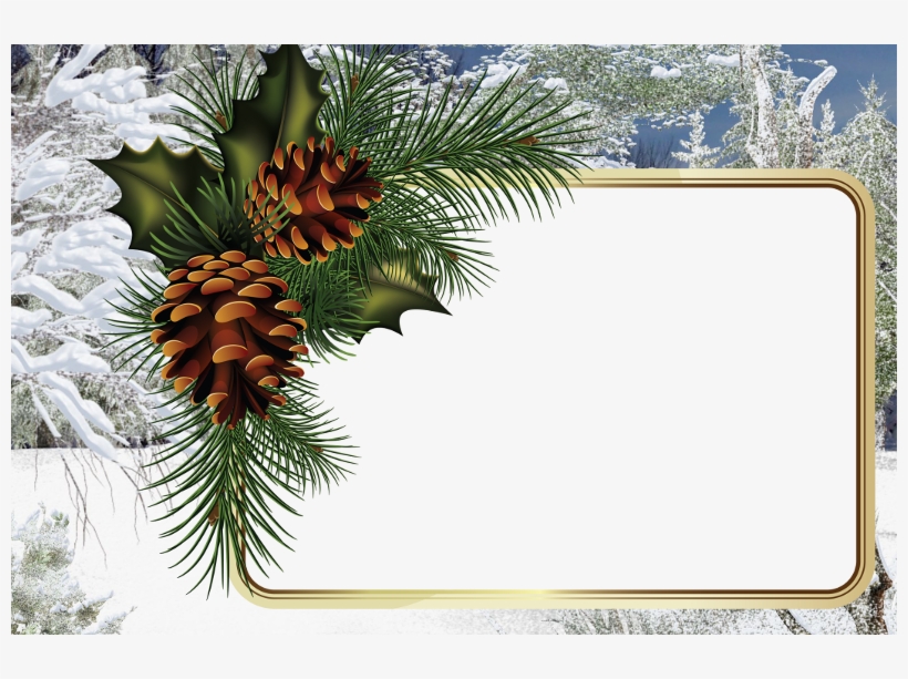 Album - Free Pine Cone Christmas Borders - 800x533 PNG Download - PNGkit