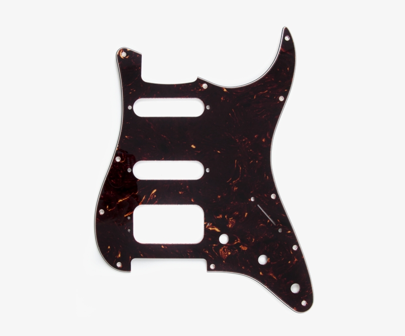 005 4022 000 Pickguard Hss - Tortoise Shell Pickguard - 592x600 PNG ...